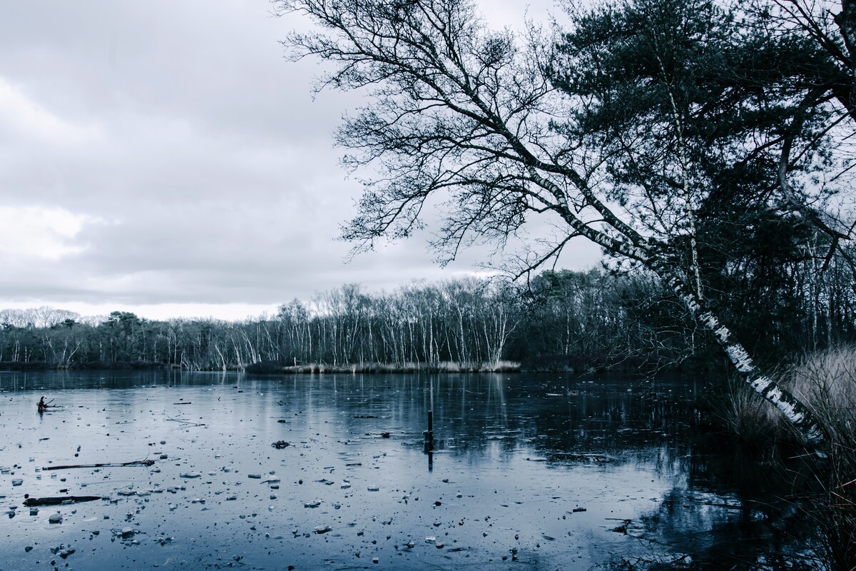 Zeegse Duinen - foto van AnneliesS - Landschap - Zoom.nl