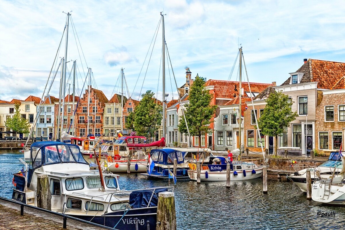 Go Goes - foto van paulli53 - Reizen - Zoom.nl