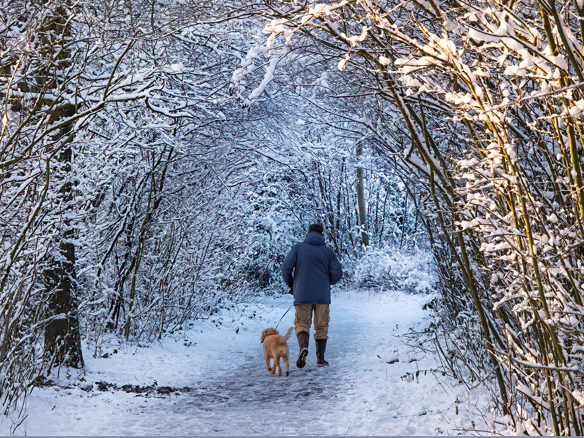 Even de hond uitlaten. - foto van Piebe - Landschap - Zoom.nl