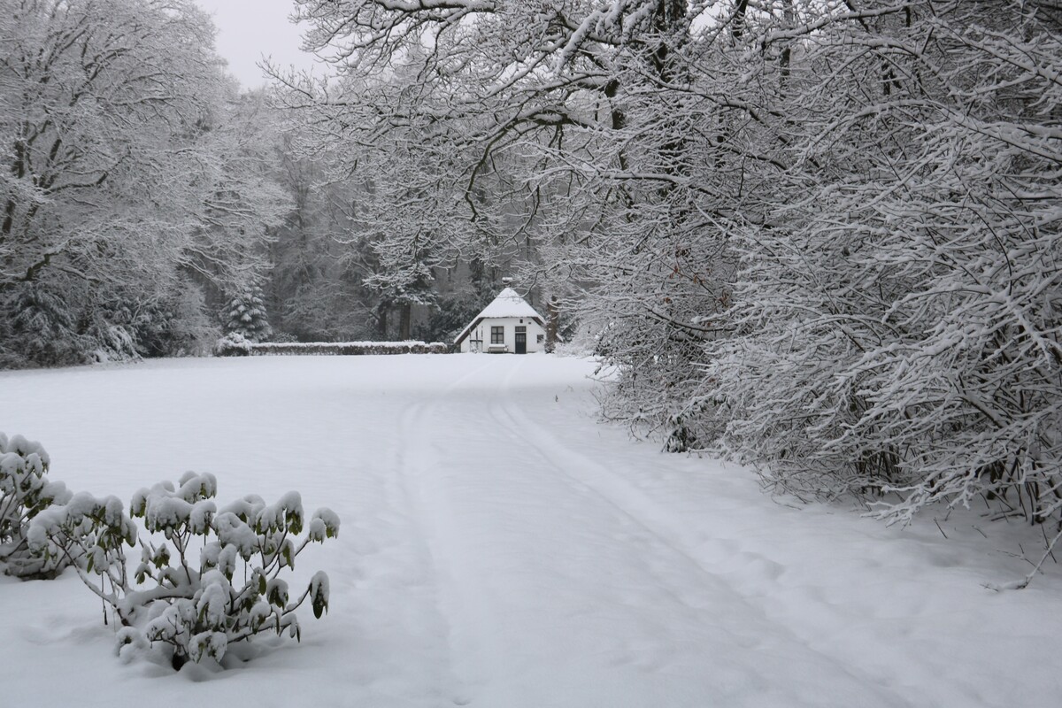 the white house - foto van Pieterevert - Natuur - Zoom.nl